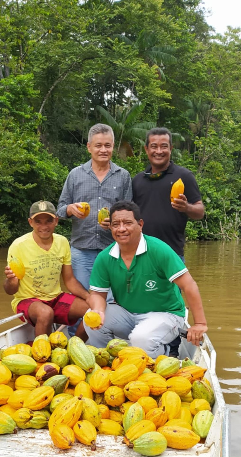VALE DO JARI – Ekosfera
